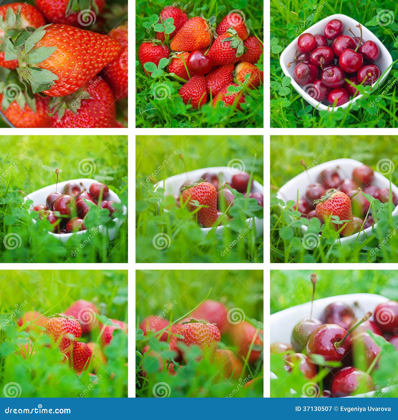 Collage of Cherries and Strawberry Stock Image - Image of health ...