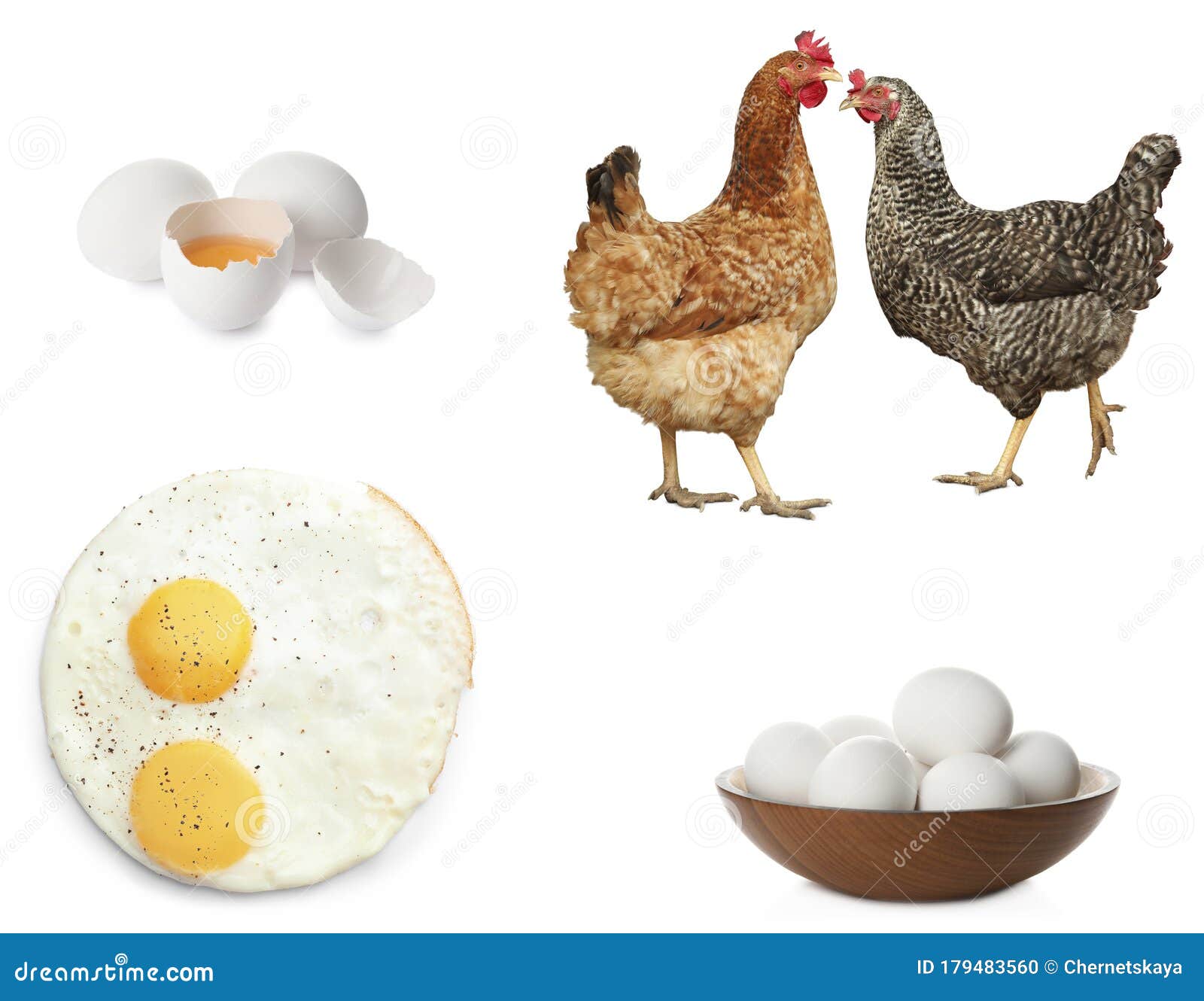 Collage With Chickens And Eggs On Background Stock Photo - Image of ...
