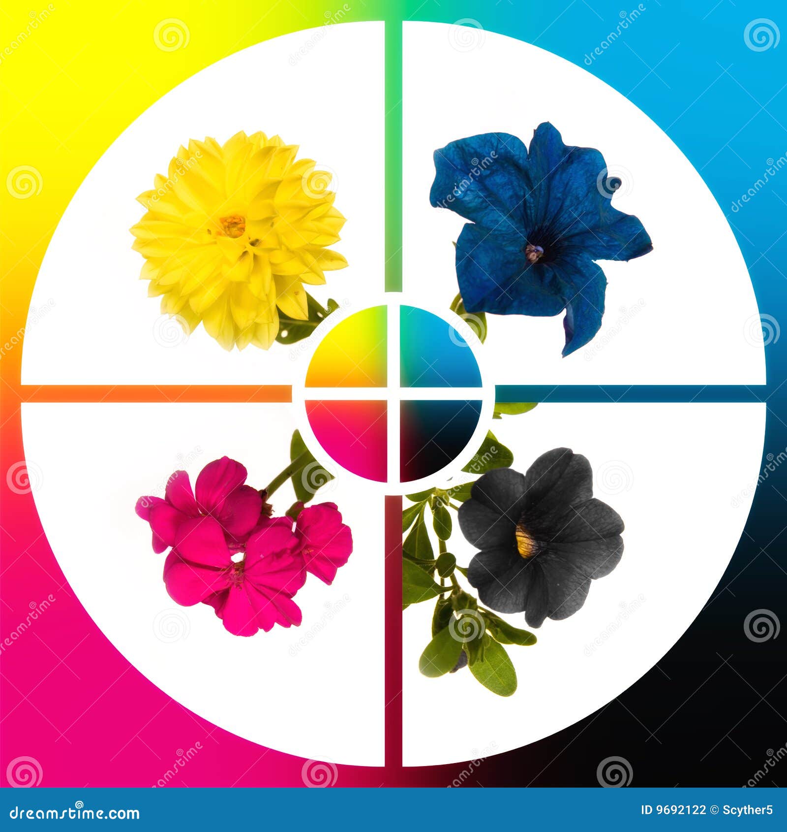 Collage CMYK flowers stock illustration. Illustration of collage - 9692122