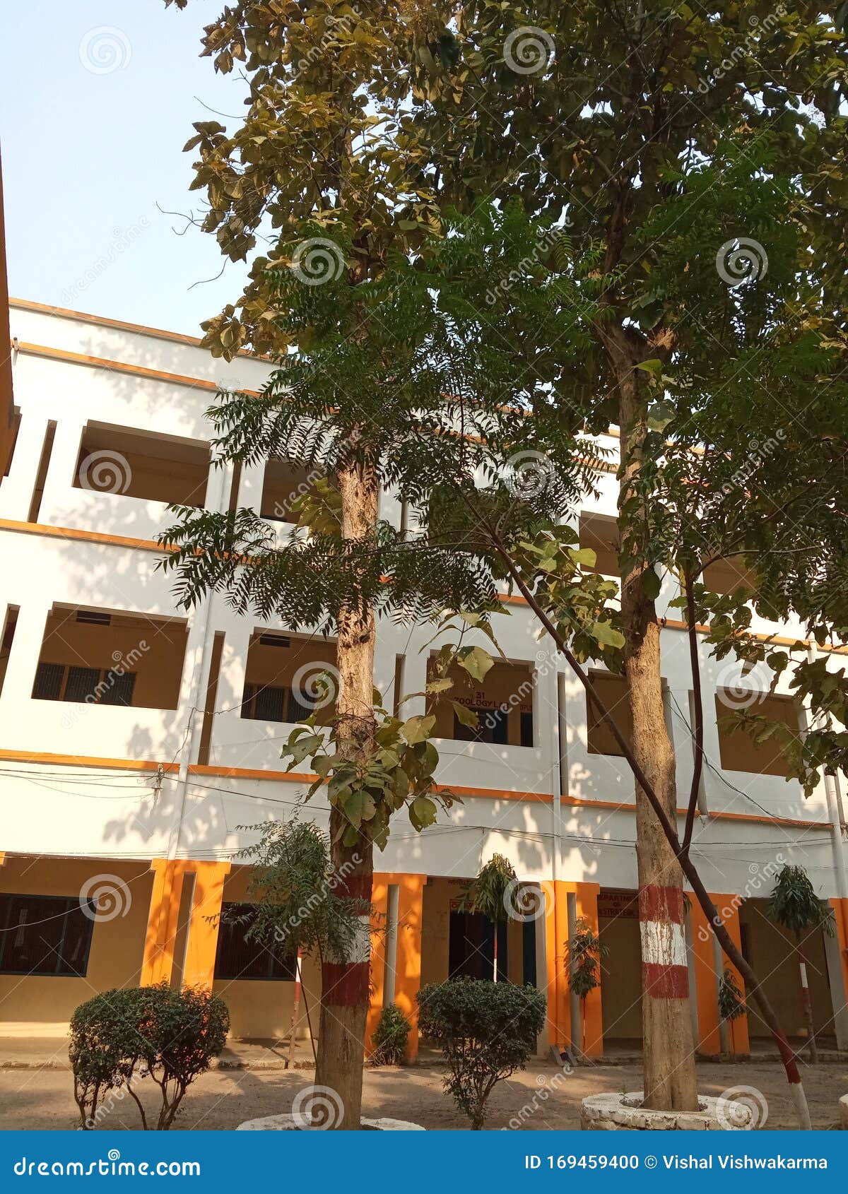 Collage stock photo. Image of green, banaras, tree, famous - 169459400