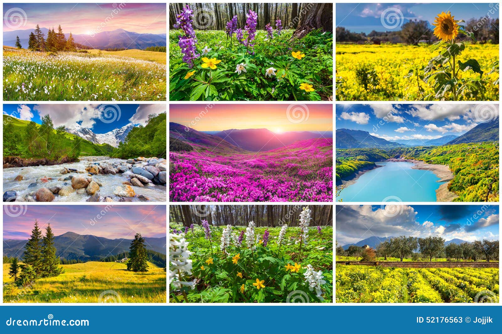 Collage with 9 Colorful Summer Landscapes. Stock Image - Image of ...