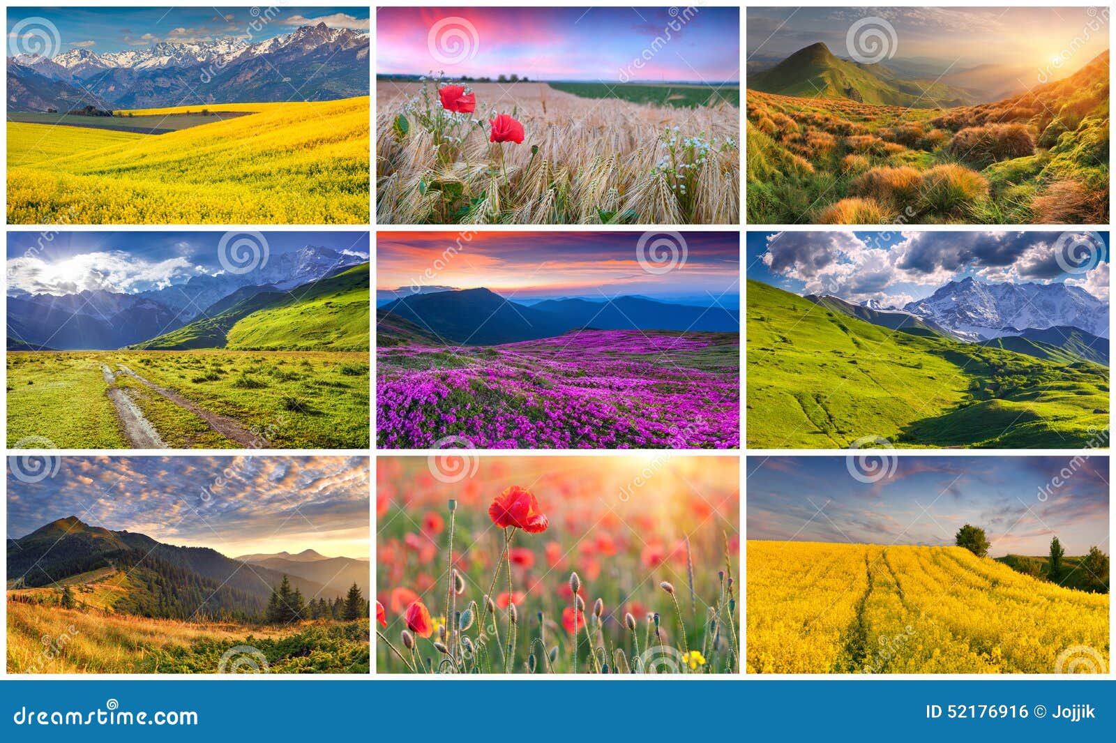 Collage with 9 Colorful Summer Landscapes. Stock Photo - Image of bloom ...