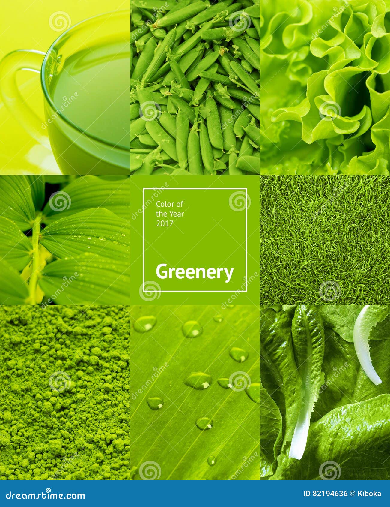 Collage con color verde foto de archivo. Imagen de hoja - 82194636