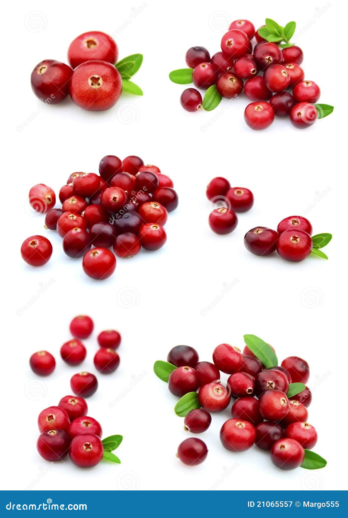 450 Cranberry Collage Stock Photos - Free & Royalty-Free Stock Photos ...