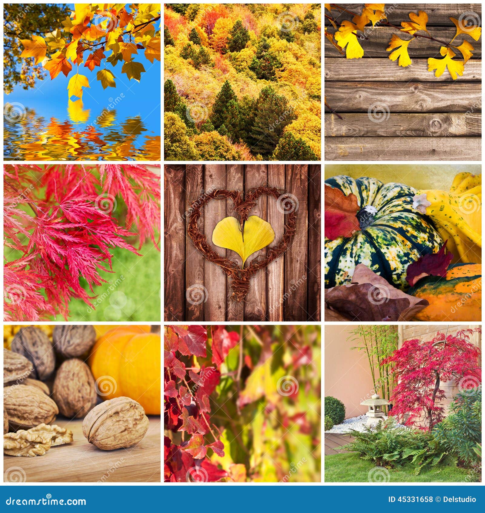 Collage cuadrado otoñal foto de archivo. Imagen de travieso - 45331658