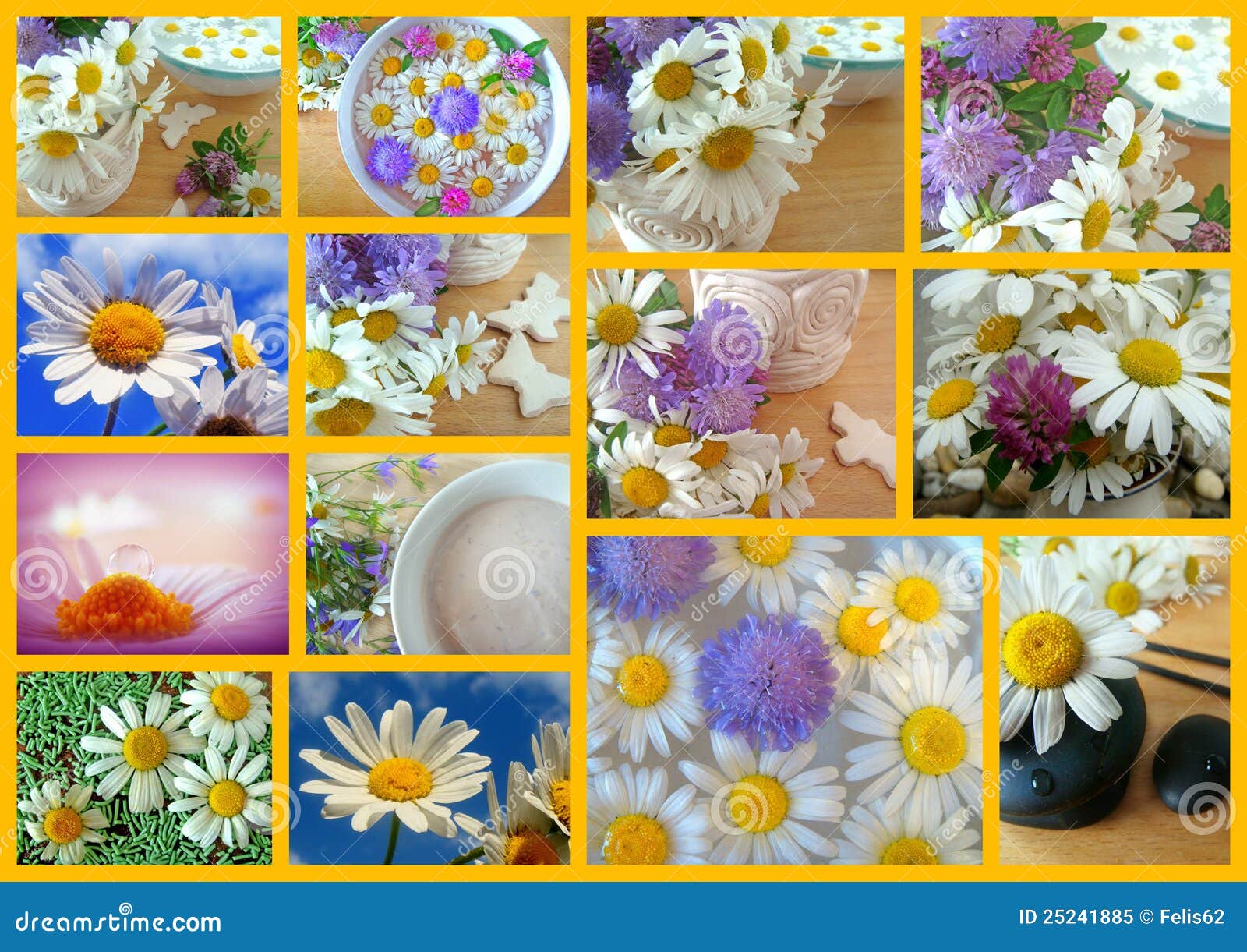 Collage daisy stock image. Image of design, cheery, daisy - 25241885