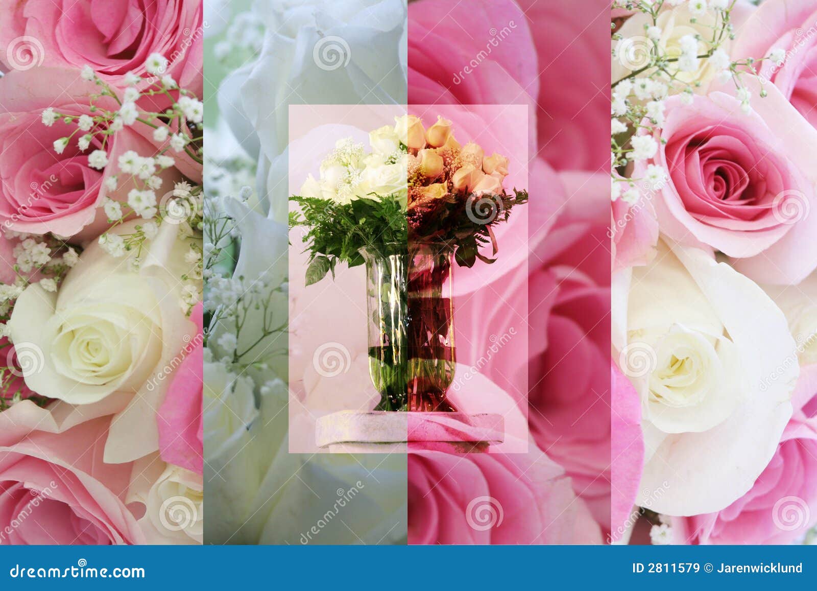 Collage de belles roses image stock. Image du doux, parfum - 2811579