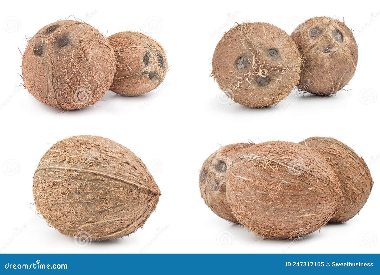 Collage De Coco Sobre Fondo Blanco Imagen de archivo - Imagen de ...