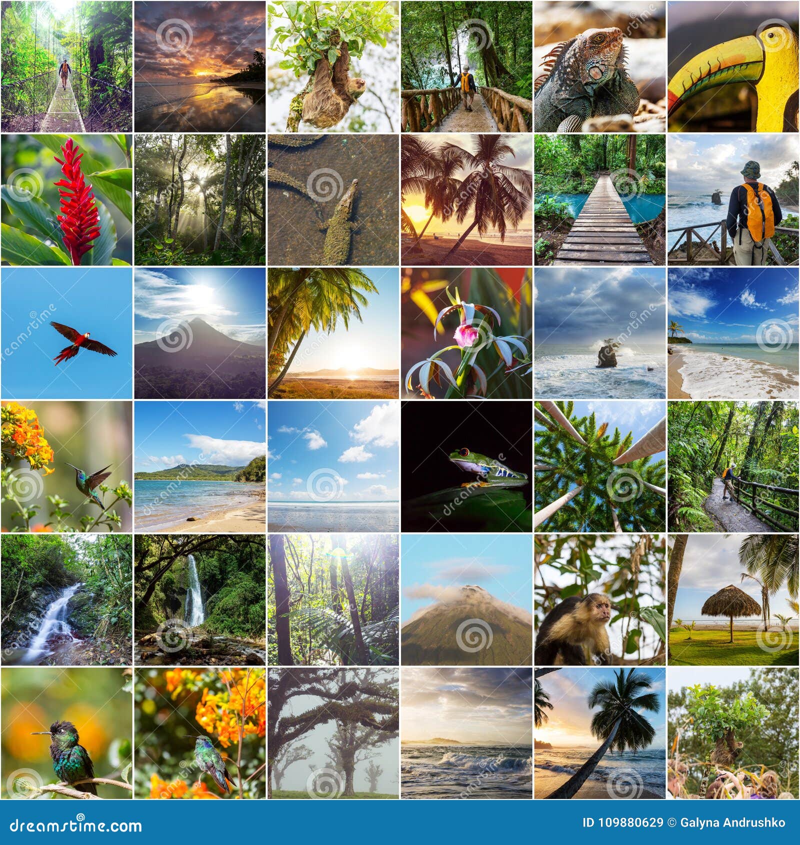 Collage de Costa Rica imagen de archivo. Imagen de cocodrilo - 109880629