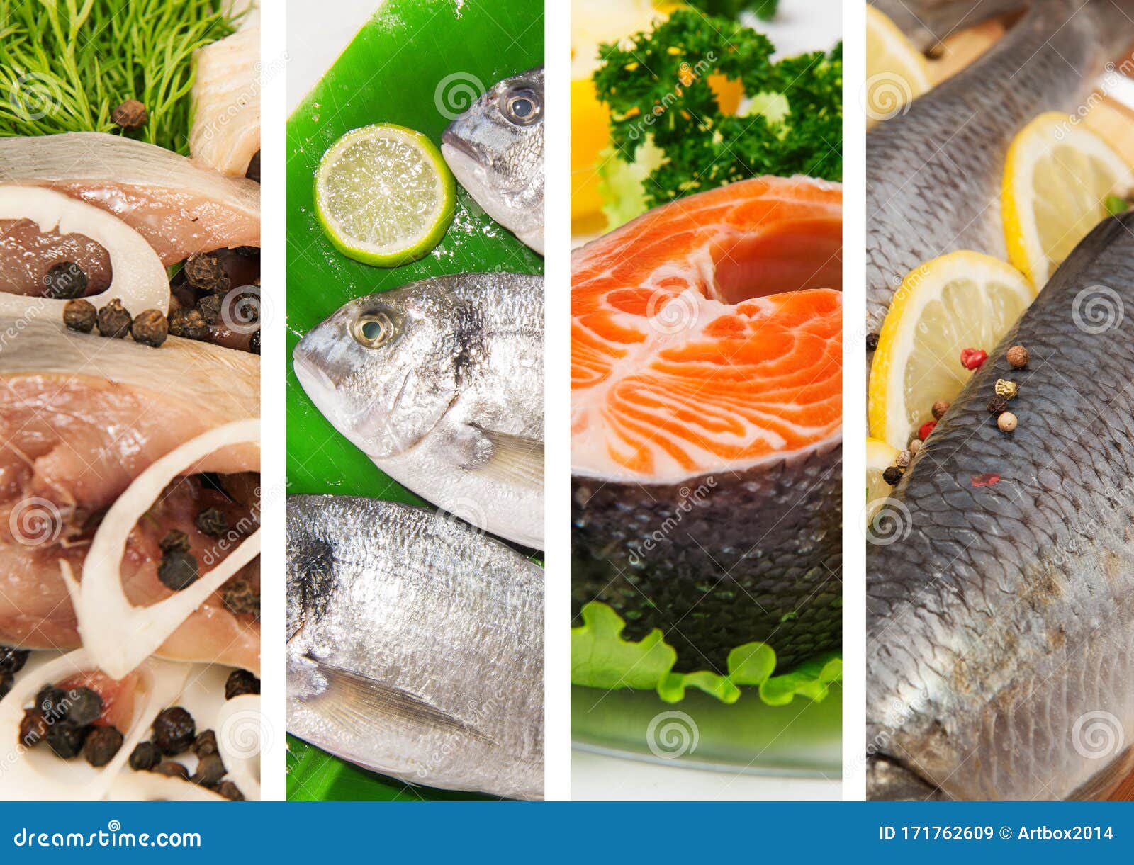 Collage De Diferentes Peces Imagen de archivo - Imagen de muchedumbre ...