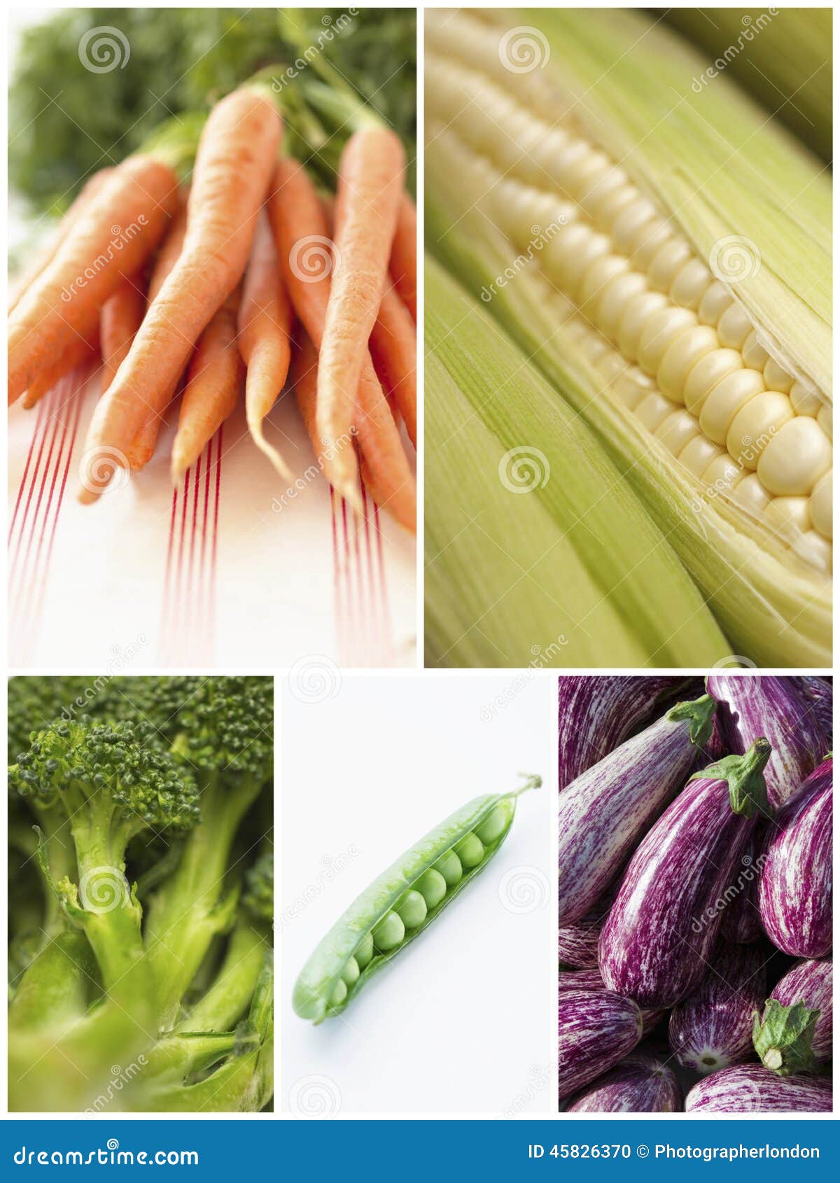 Collage De Diversas Verduras Foto de archivo - Imagen de ordenador ...