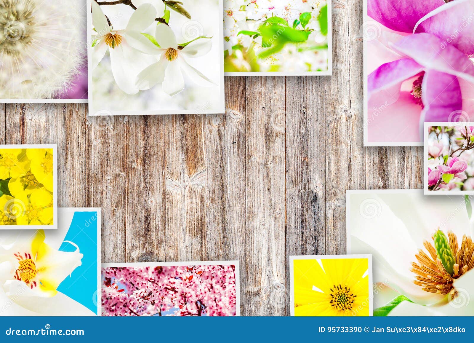 Collage de flores foto de archivo. Imagen de imagen, belleza - 95733390