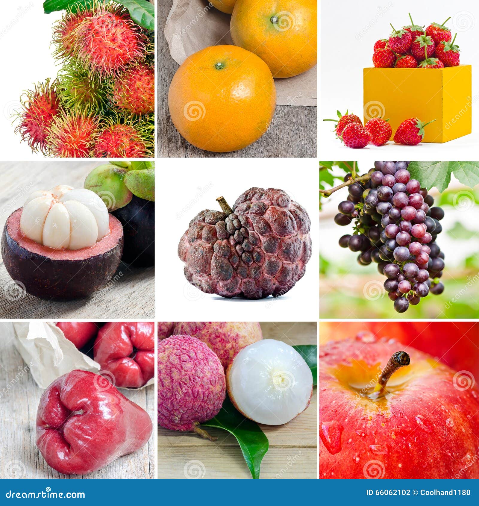 Collage de frutas foto de archivo. Imagen de fruta, natillas - 66062102