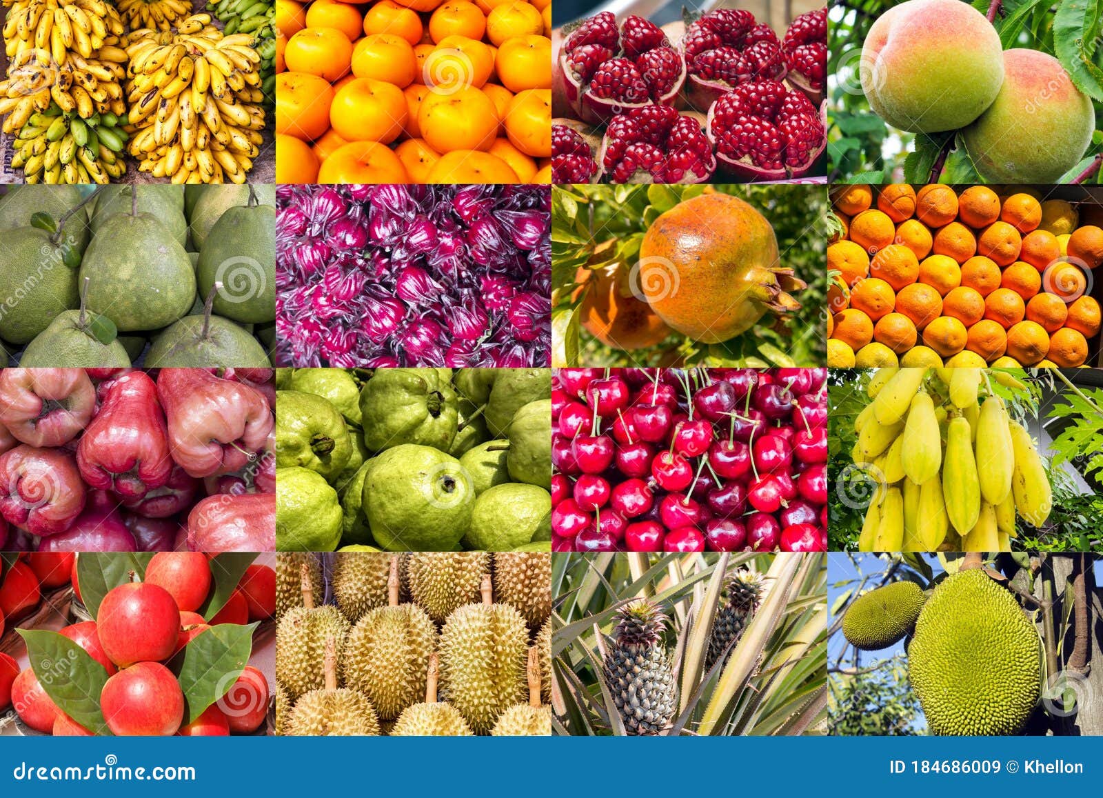 Collage De Frutas Tropicales Imagen de archivo - Imagen de fruta ...