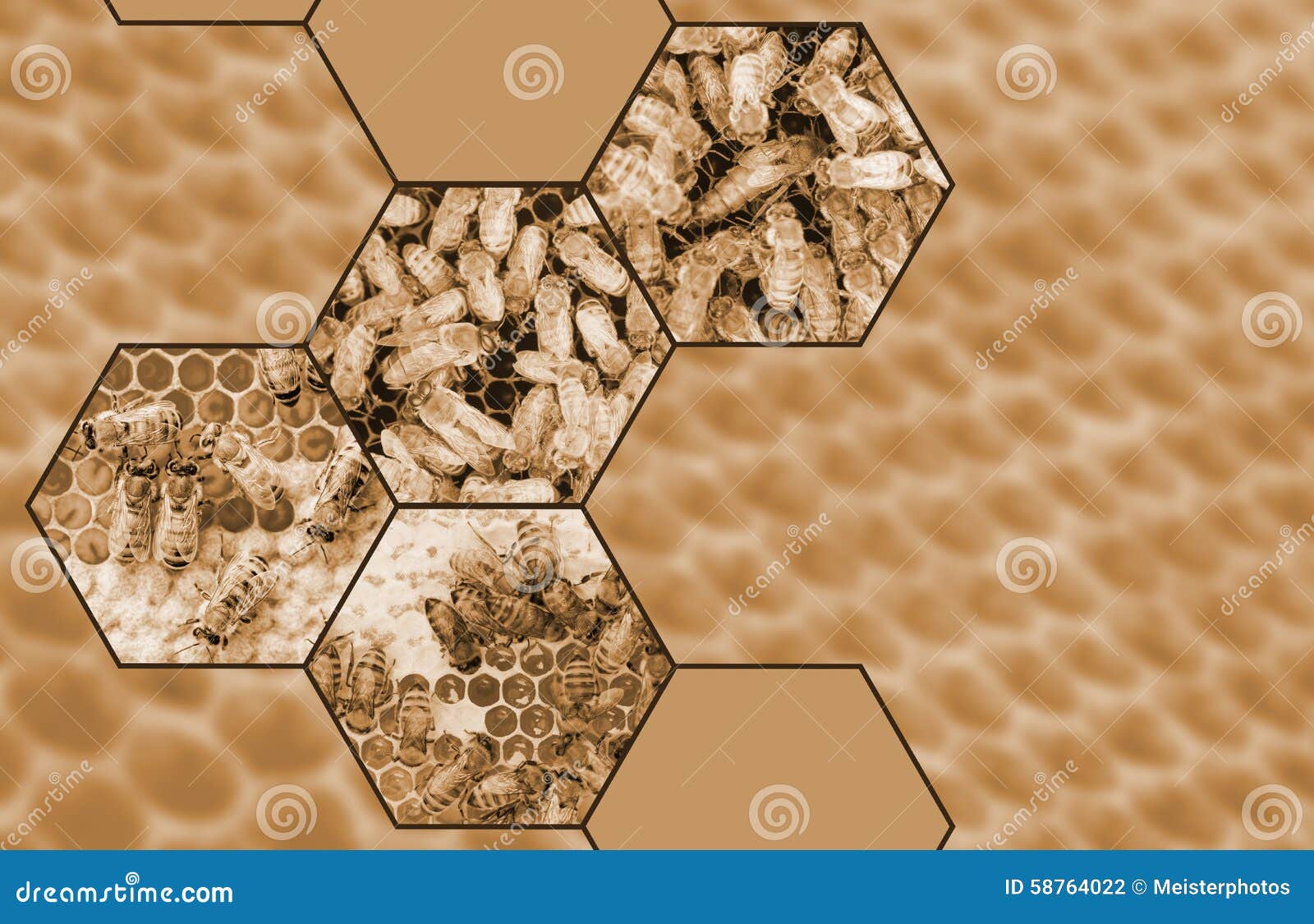 Collage De La Abeja De La Miel Stock de ilustración - Ilustración de ...