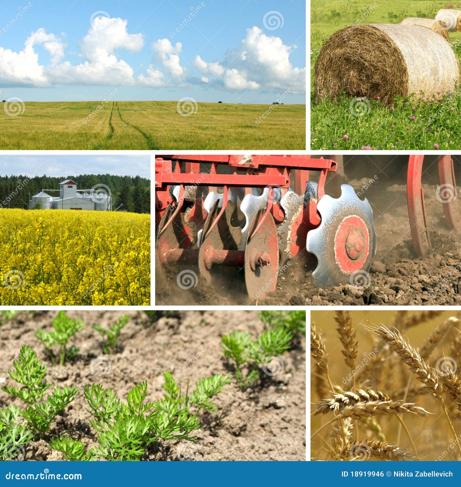 Collage de la agricultura foto de archivo. Imagen de cubo - 18919946