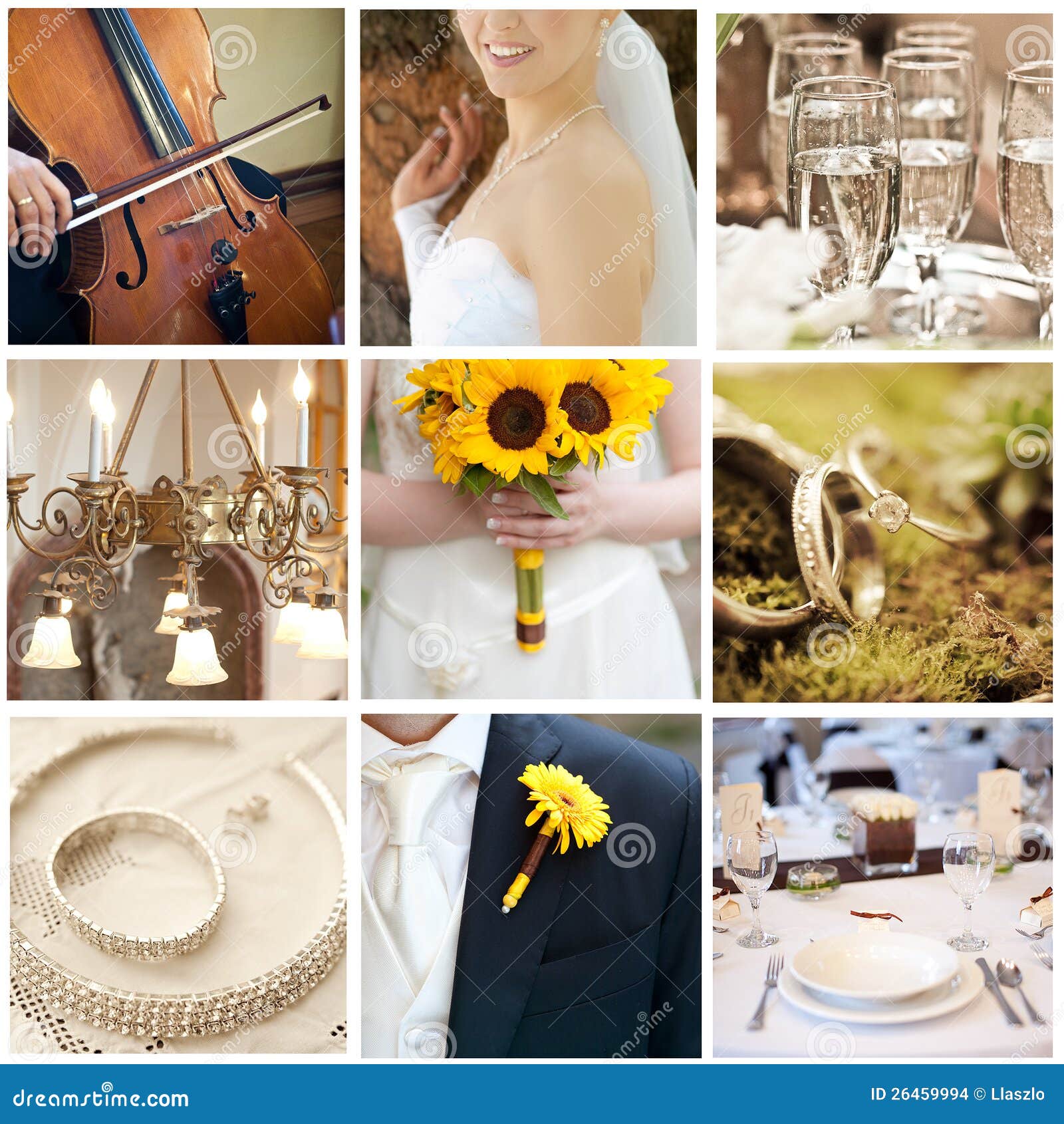 Collage de la boda foto de archivo. Imagen de alineada - 26459994