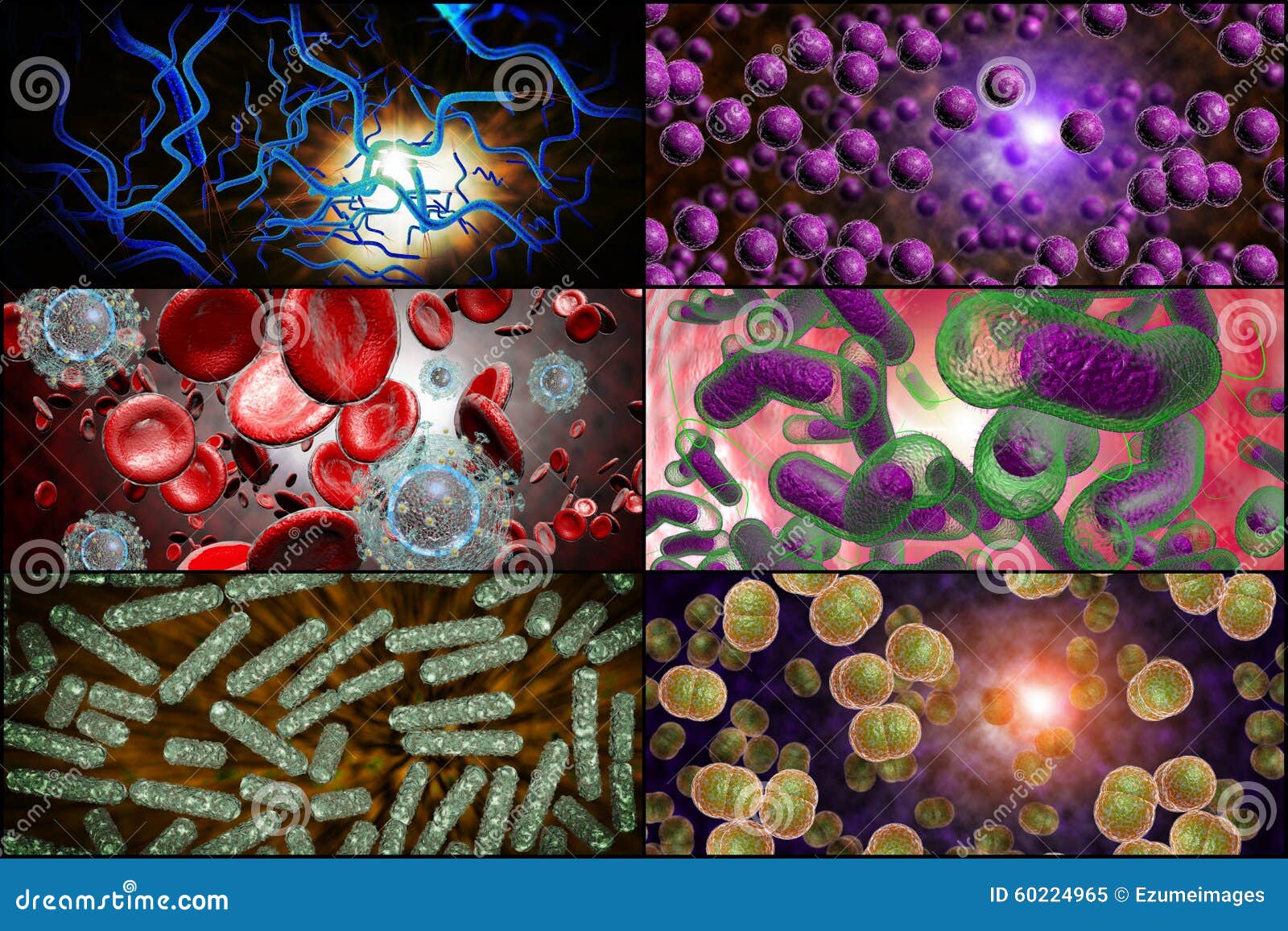 Collage De La Infección De Las Bacterias Stock de ilustración ...