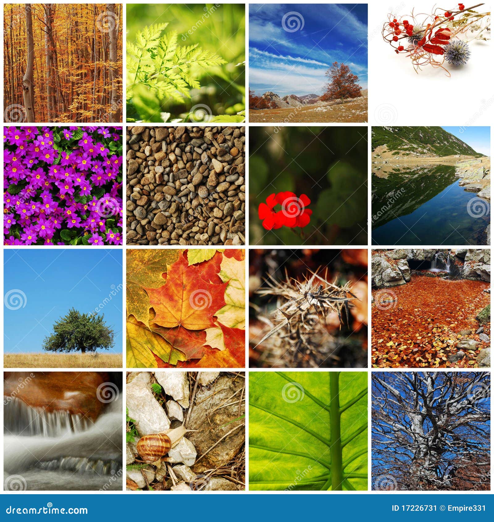 Collage de la naturaleza imagen de archivo. Imagen de cubo - 17226731