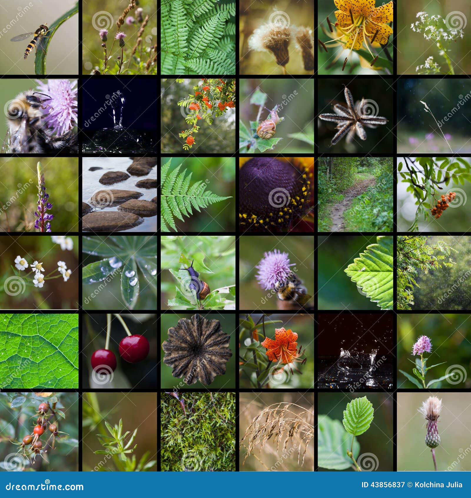 Collage de la naturaleza imagen de archivo. Imagen de cubo - 43856837
