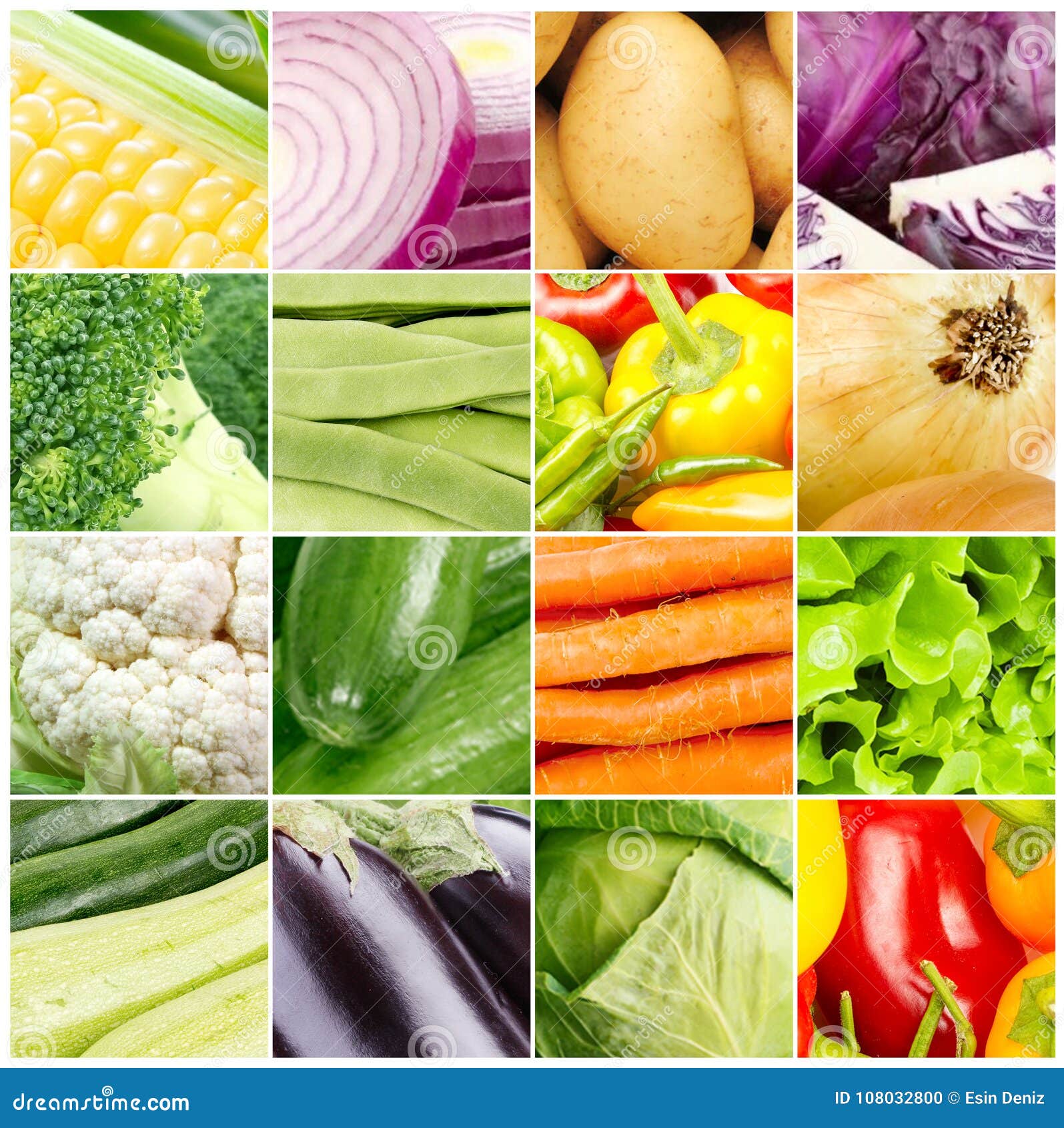 Collage De Las Frutas Y Verdura Foto de archivo - Imagen de vegetariano ...