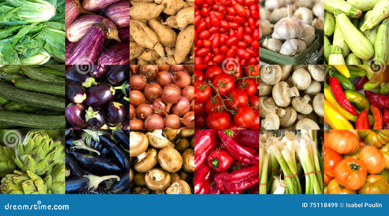 Collage de las verduras imagen de archivo. Imagen de chalotes - 75118499