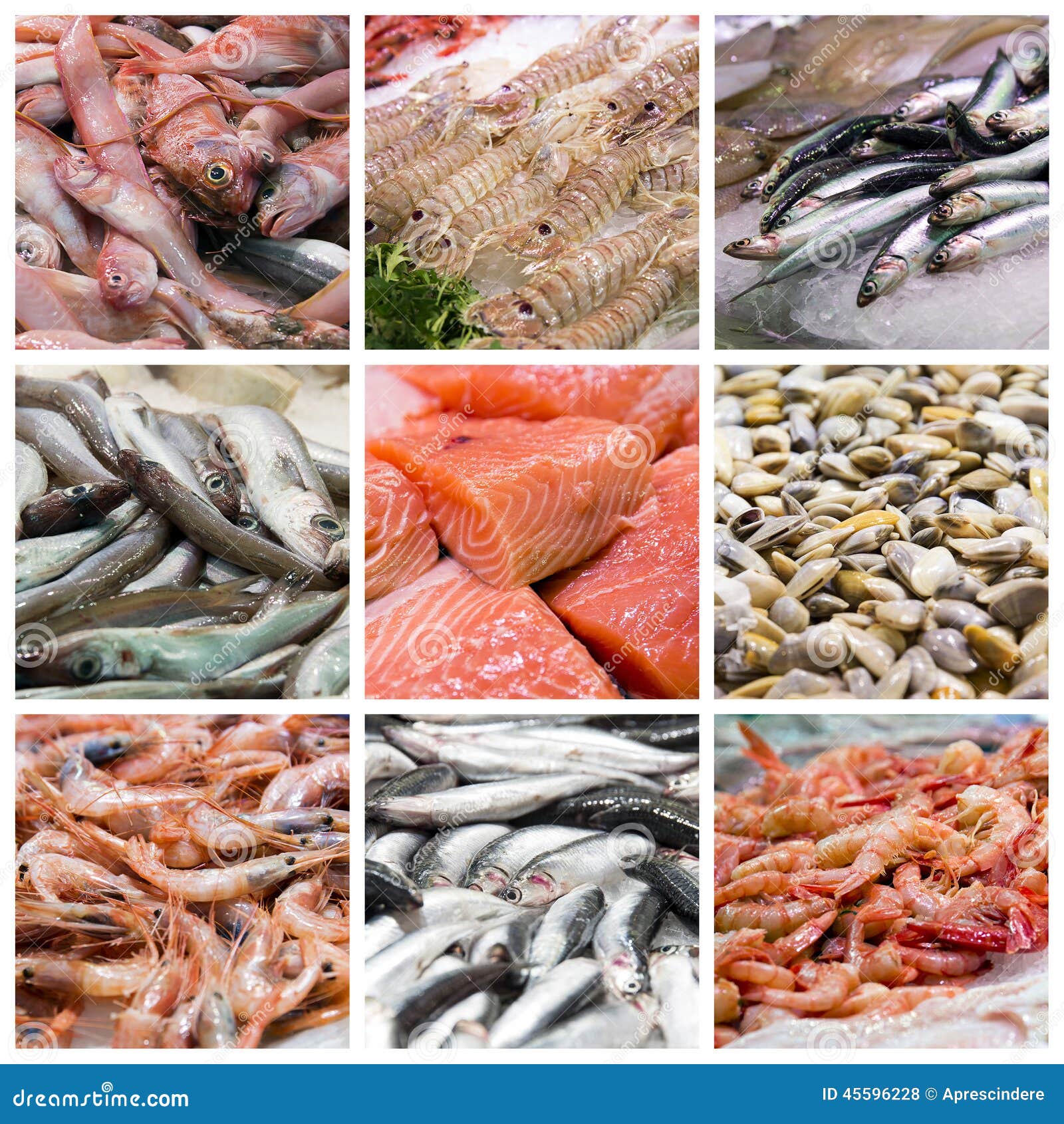 Collage De Los Pescados Y De Los Mariscos Foto de archivo - Imagen de ...