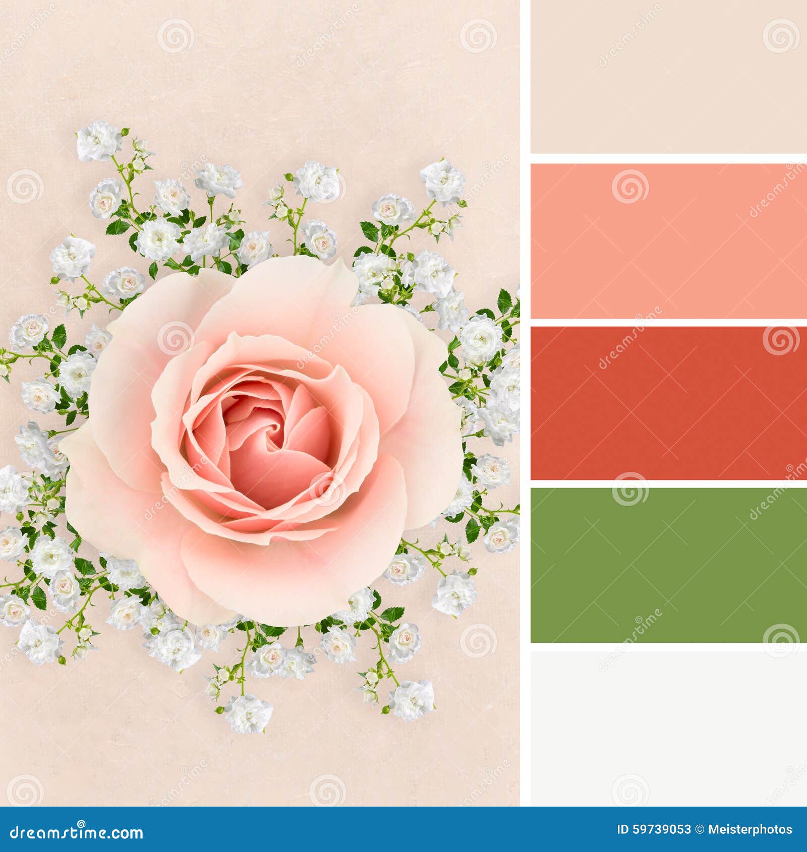 Collage De Rose Con Muestras Del Color Stock de ilustración ...