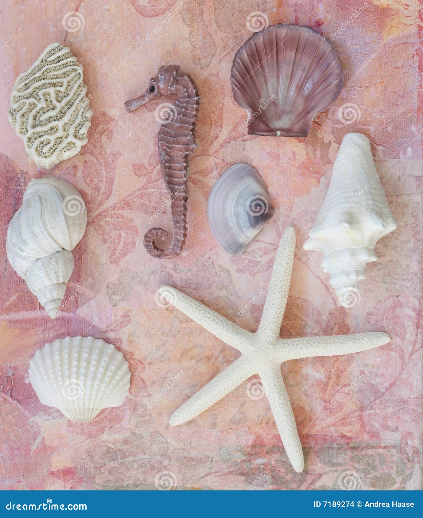 Jetsam Stock Illustrations, Vecteurs, & Clipart – (4 Stock Illustrations)