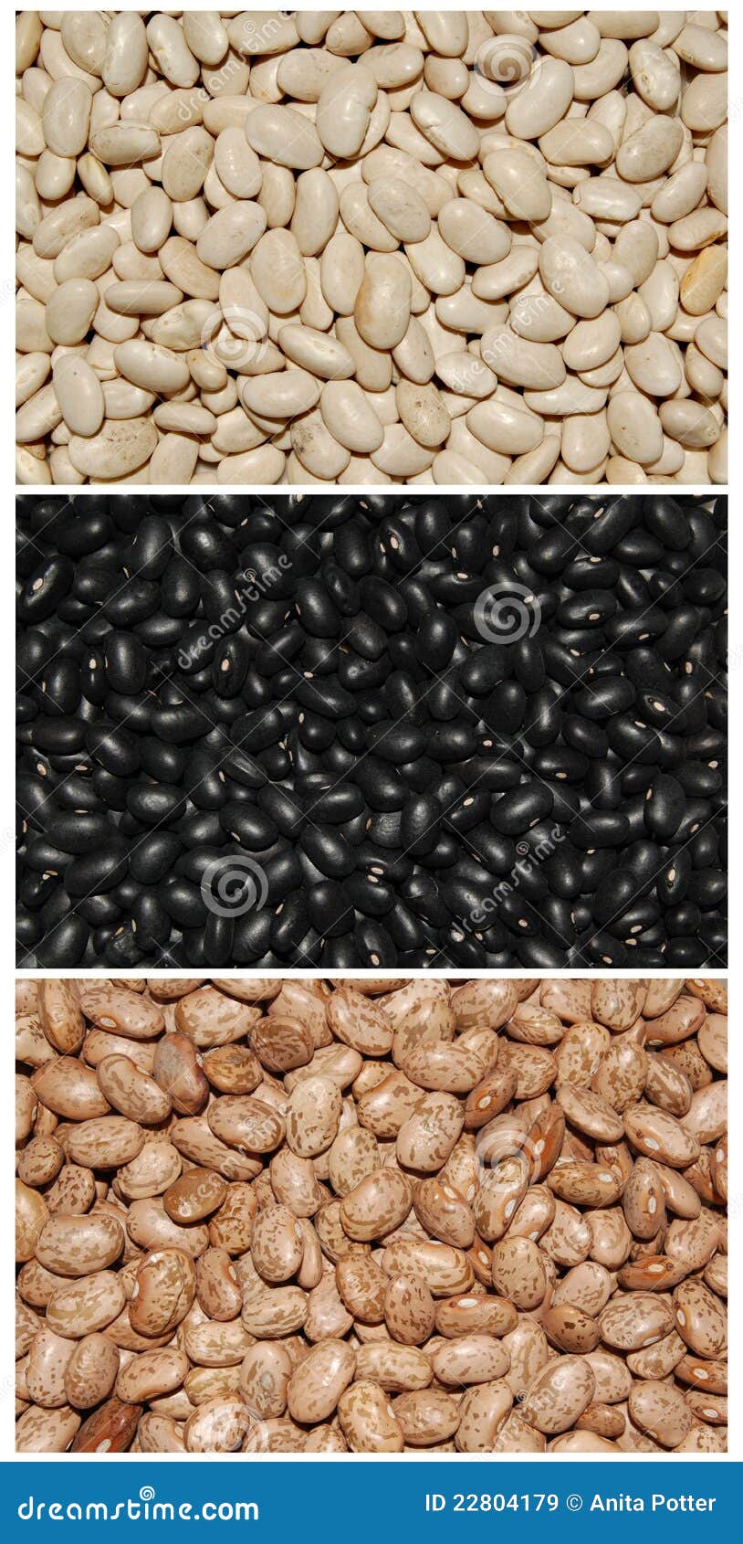 Collage De Tres Diversos Tipos De Alubias Secas Imagen de archivo ...