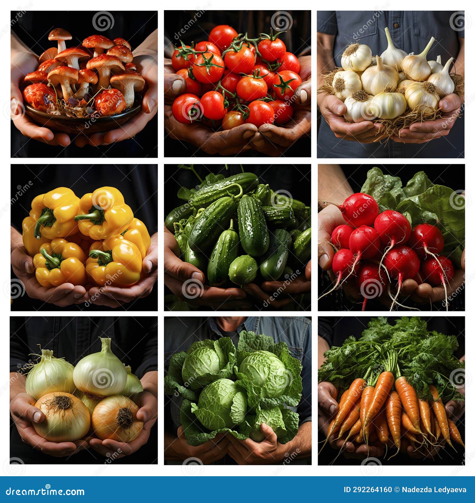 Collage De Verduras En Tus Manos. Stock de ilustración - Ilustración de ...