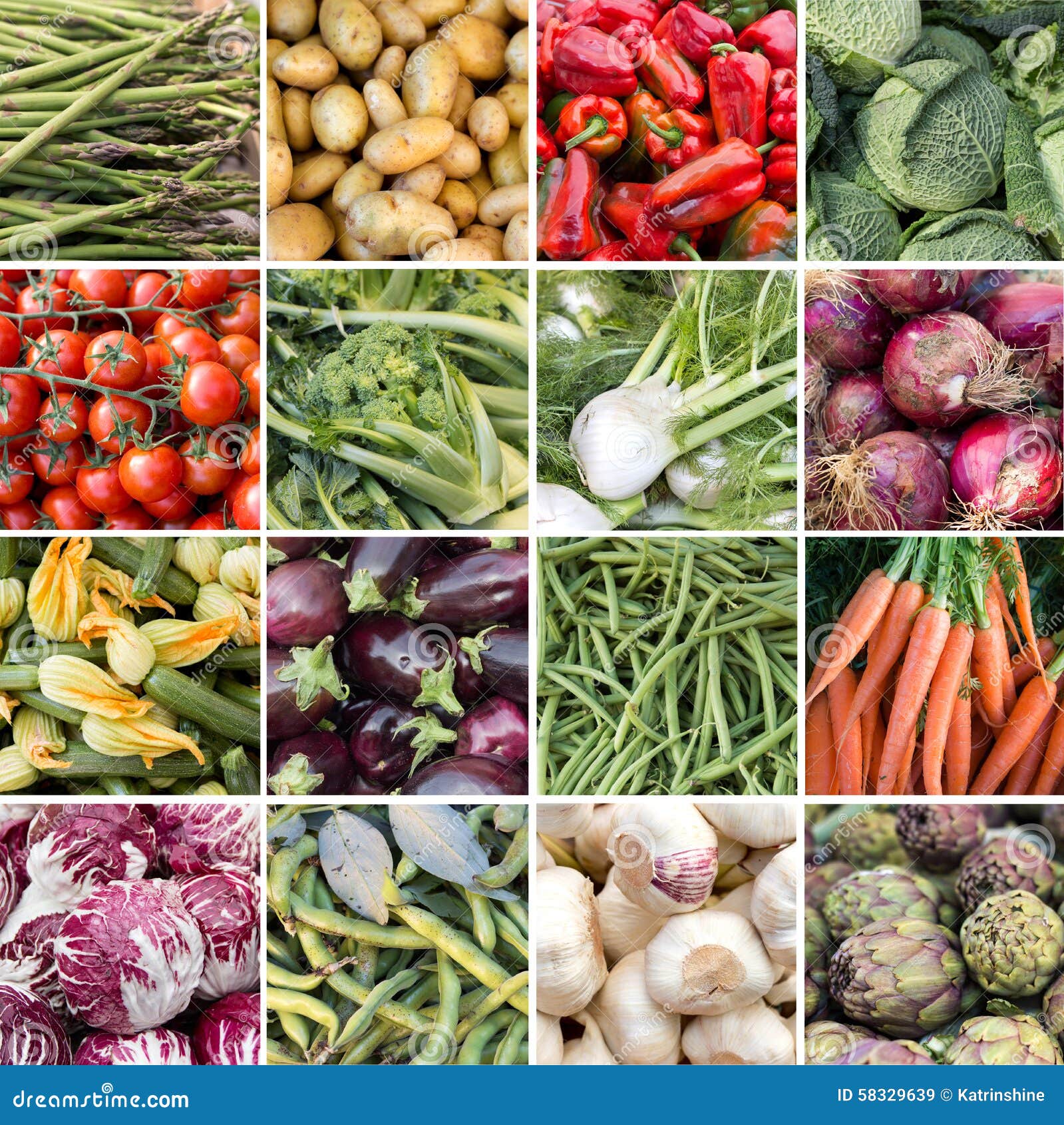 Collage De 16 Verduras Frescas Imagen de archivo - Imagen de mercado ...