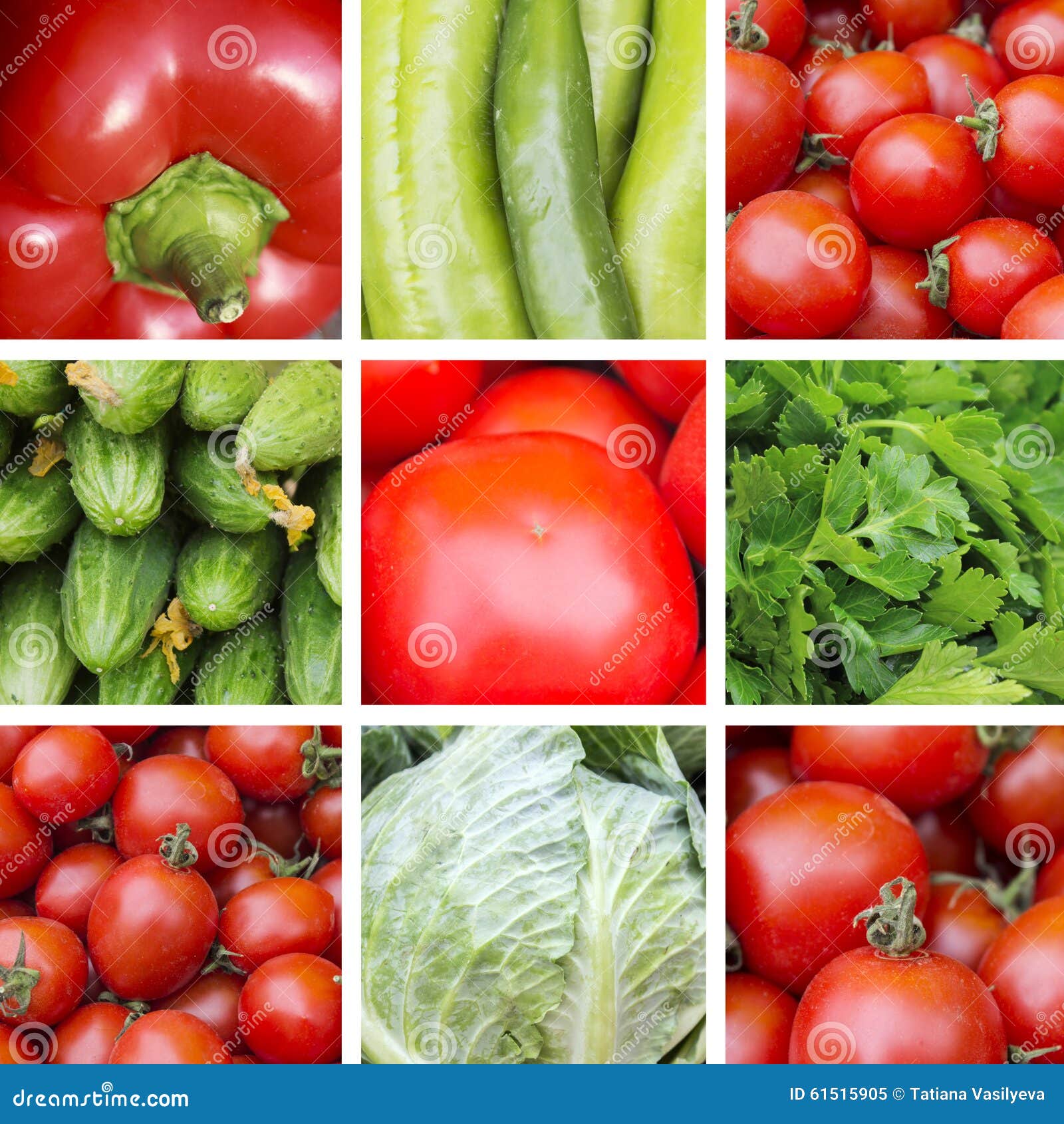 Collage De Verduras Rojas Y Verdes Imagen de archivo - Imagen de cubo ...