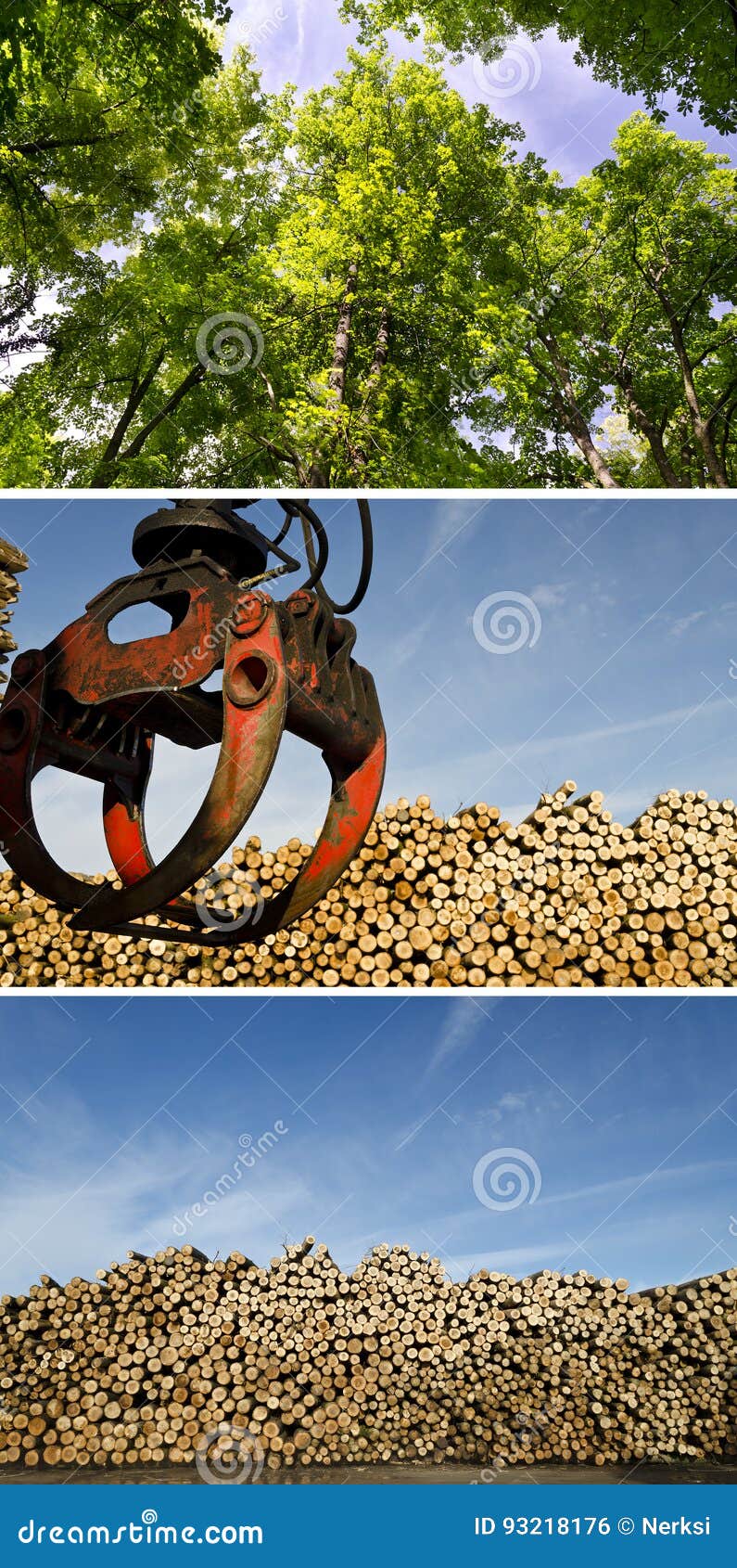 Collage of deforestation stock photo. Image of manufacturing - 93218176