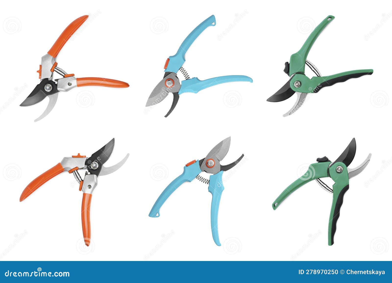 Collage with Different Color Secateurs on White Background. Gardening ...