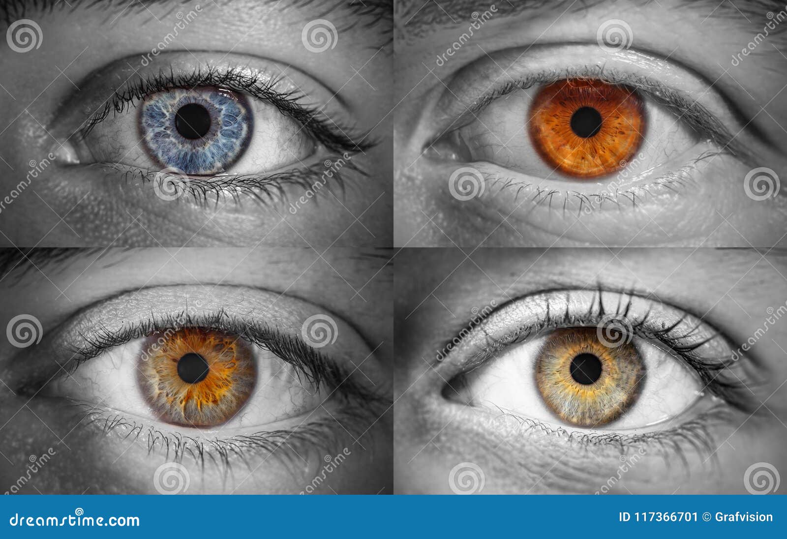 Dfferent colored eye stock image. Image of beauty, collage - 117366701