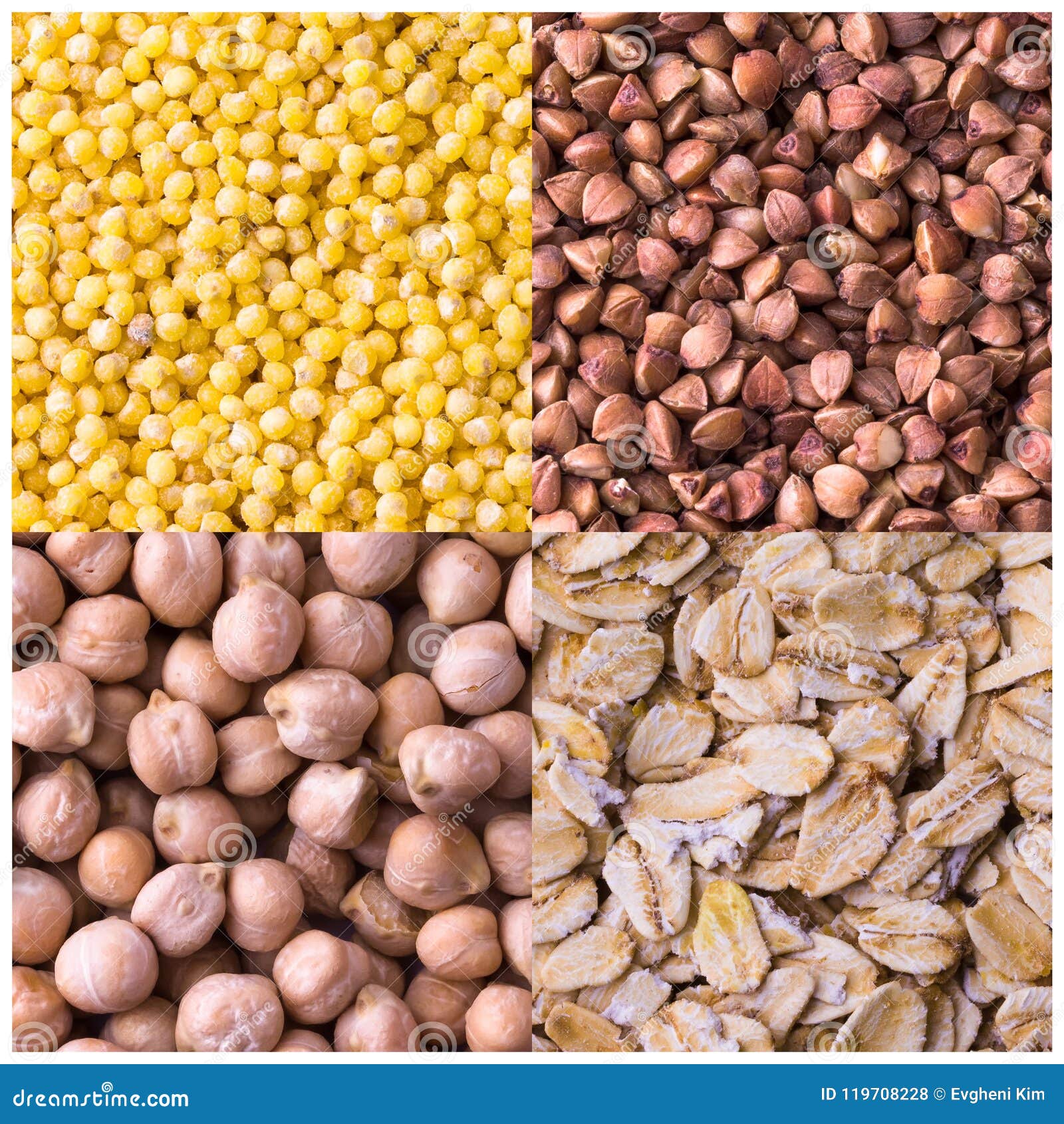 Collage Of Different Crops. Grain Crops Are The Basis Of Life For Both ...