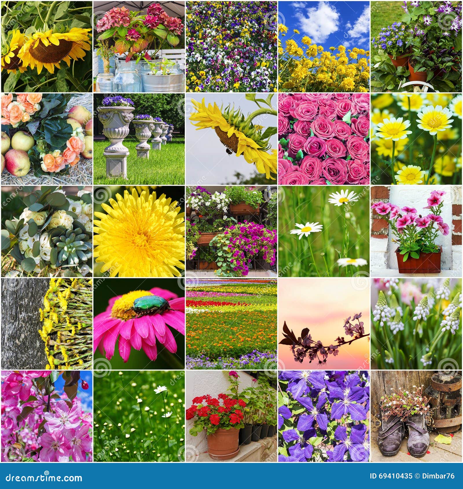 Collage of Different Flowers Blooming Stock Image - Image of bouquet ... Collage of Different Flowers Blooming Stock Image - Image of bouquet ...