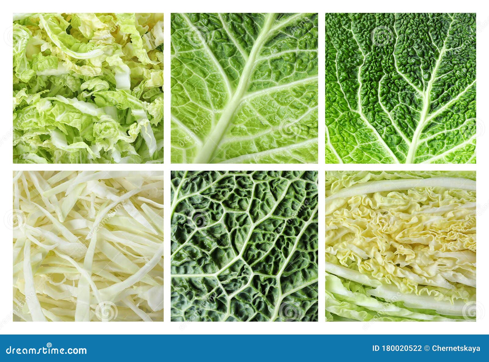 Collage of Different Fresh Cabbages Stock Photo - Image of collage ...