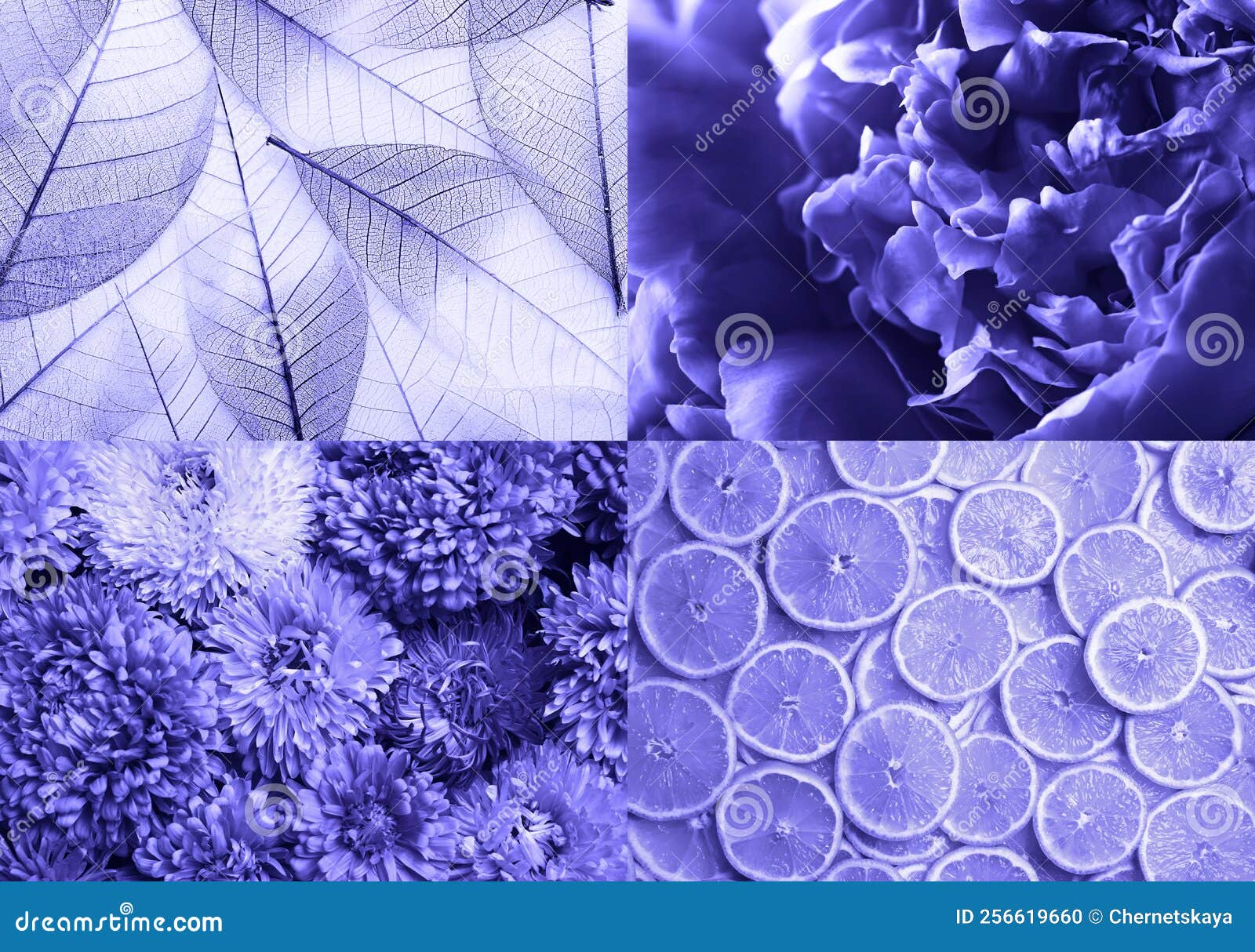 Two Different Photos Of The Same Ginger Bearded Man In Different Ages ...