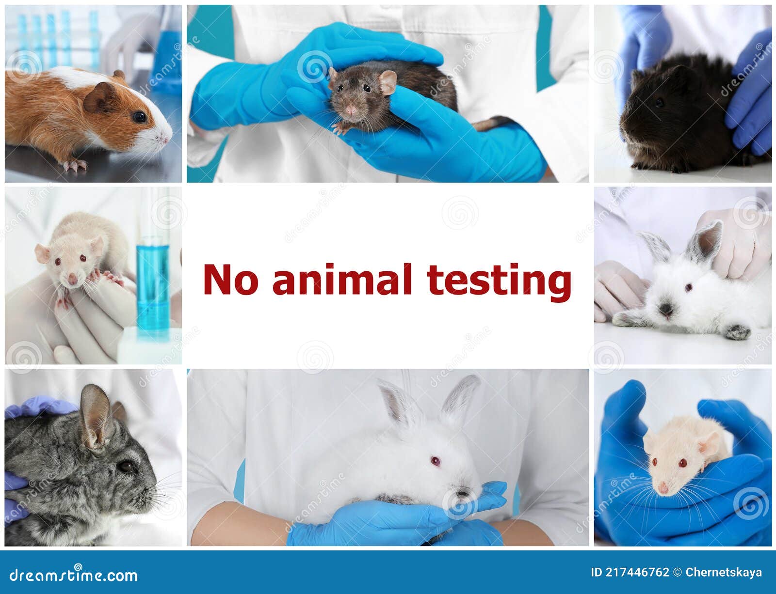 Collage with Different Photos and Text NO ANIMAL TESTING Stock Photo ...
