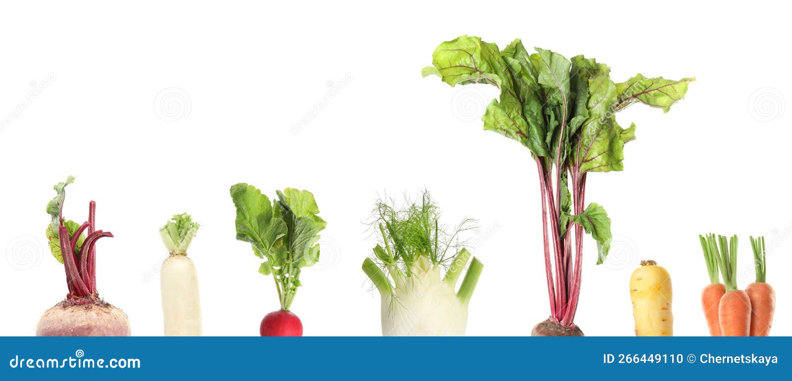 Collage with Different Root Vegetables on White Background Stock Photo ...