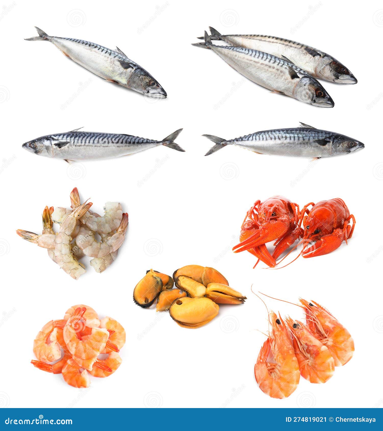 Collage with Different Seafood on White Background 库存图片 - 图片 包括有 营养, 美食 ... Collage with Different Seafood on White Background 库存图片 - 图片 包括有 营养, 美食 ...