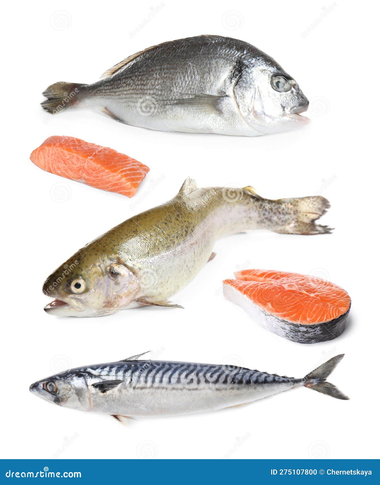 Collage with Different Types of Raw Fish on White Background Stock ...