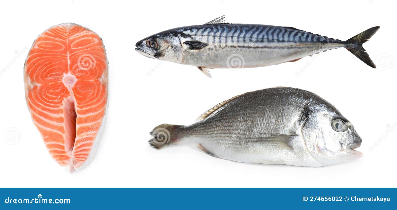 Collage with Different Types of Raw Fish on White Background Stock ...