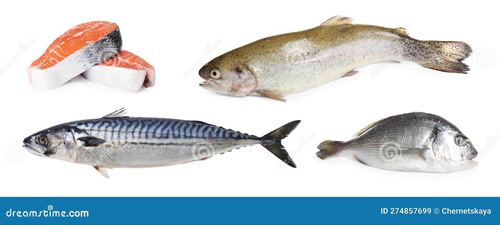 Collage with Different Types of Raw Fish on White Background Stock ...