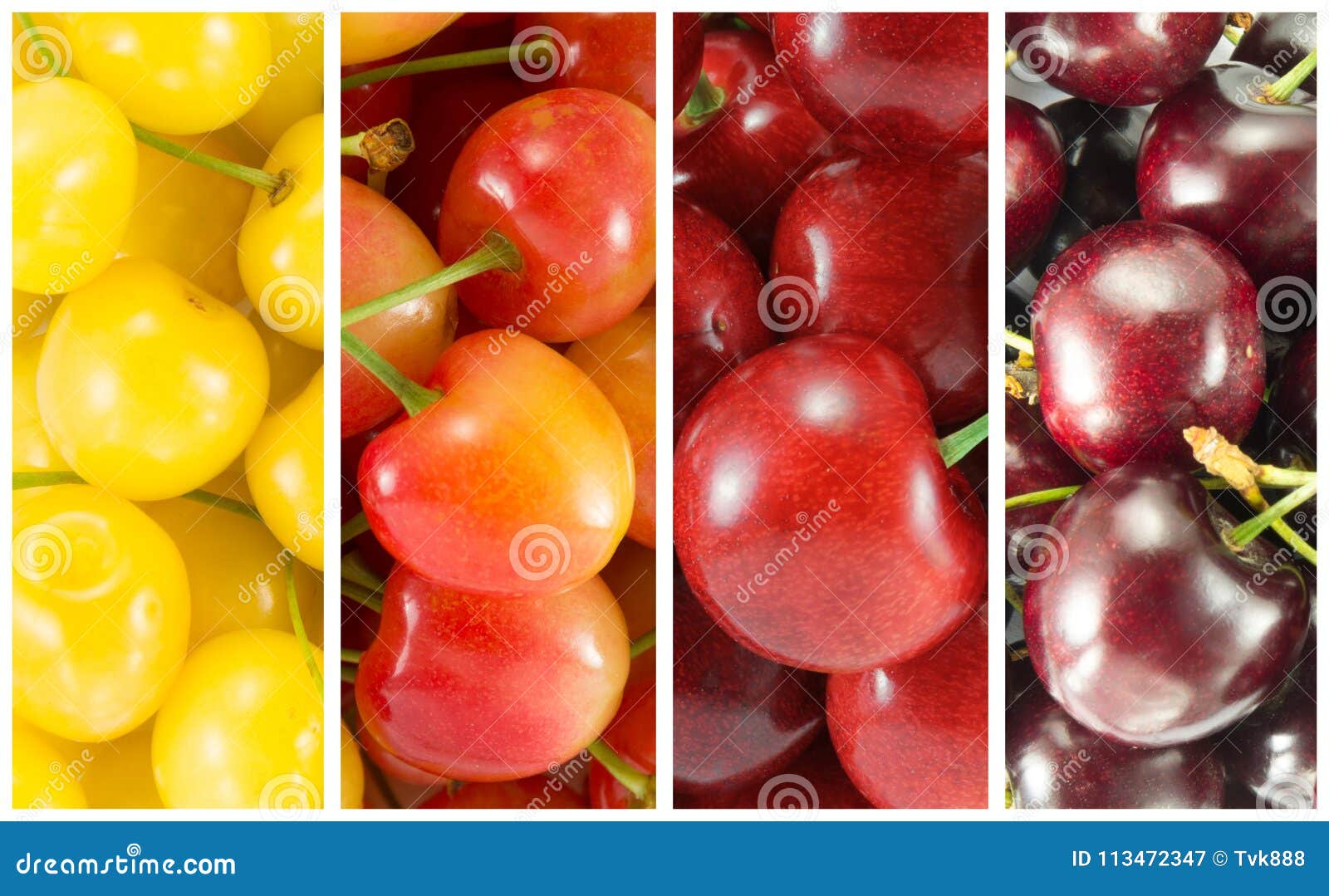 Collage from Different Varieties of Sweet Cherry - Rectangle Stock ...