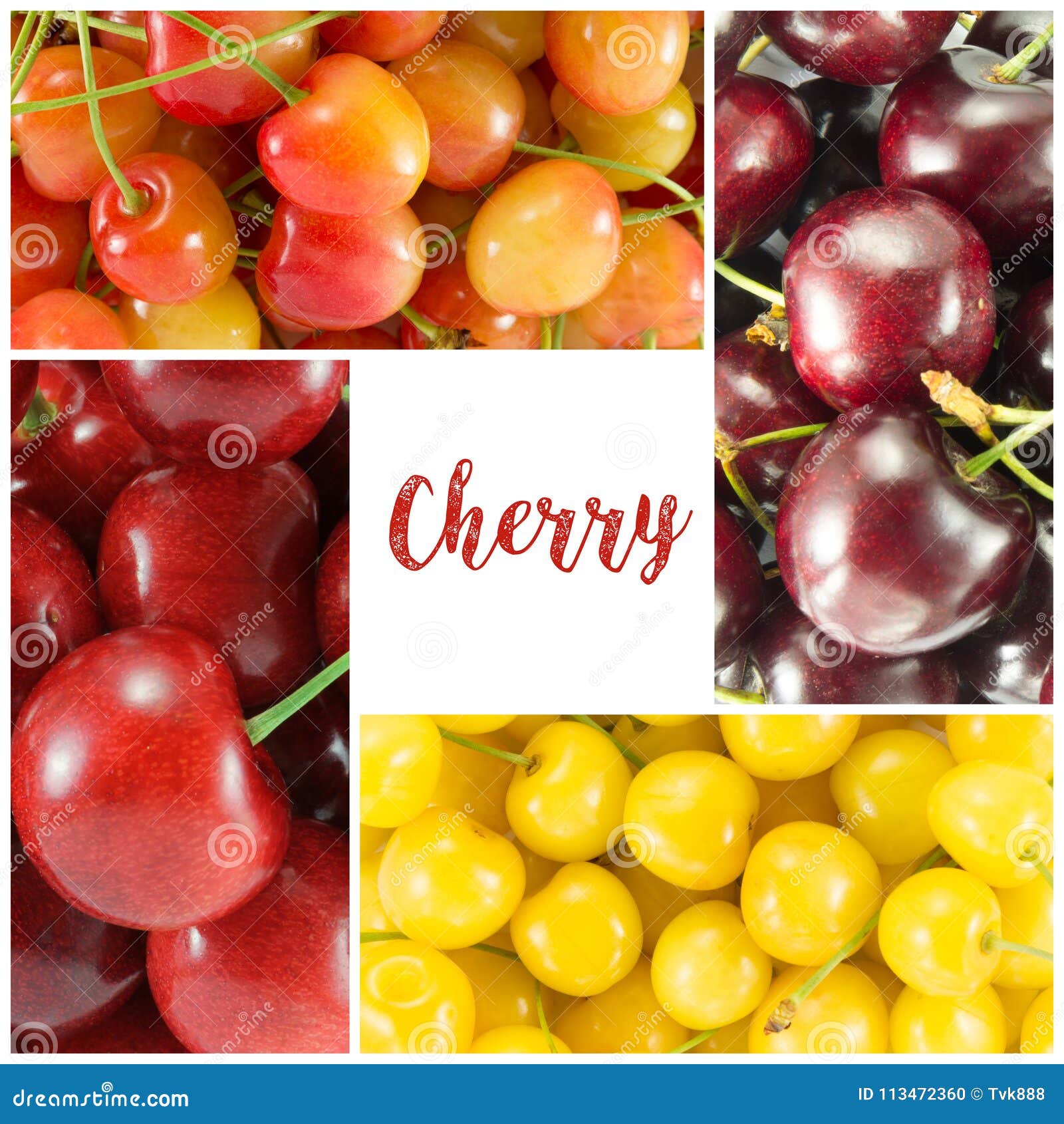 Collage from Different Varieties of Sweet Cherry Colorful - Sq Stock ...