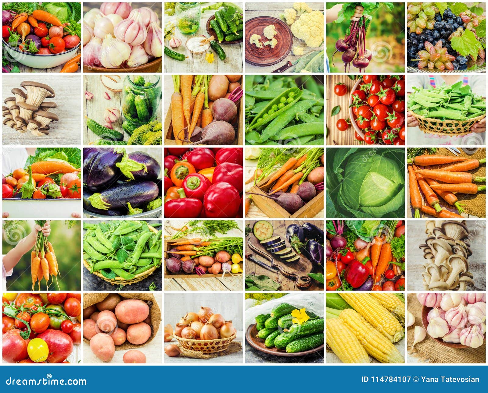 Collage of Different Vegetables. Stock Image - Image of cooking ...