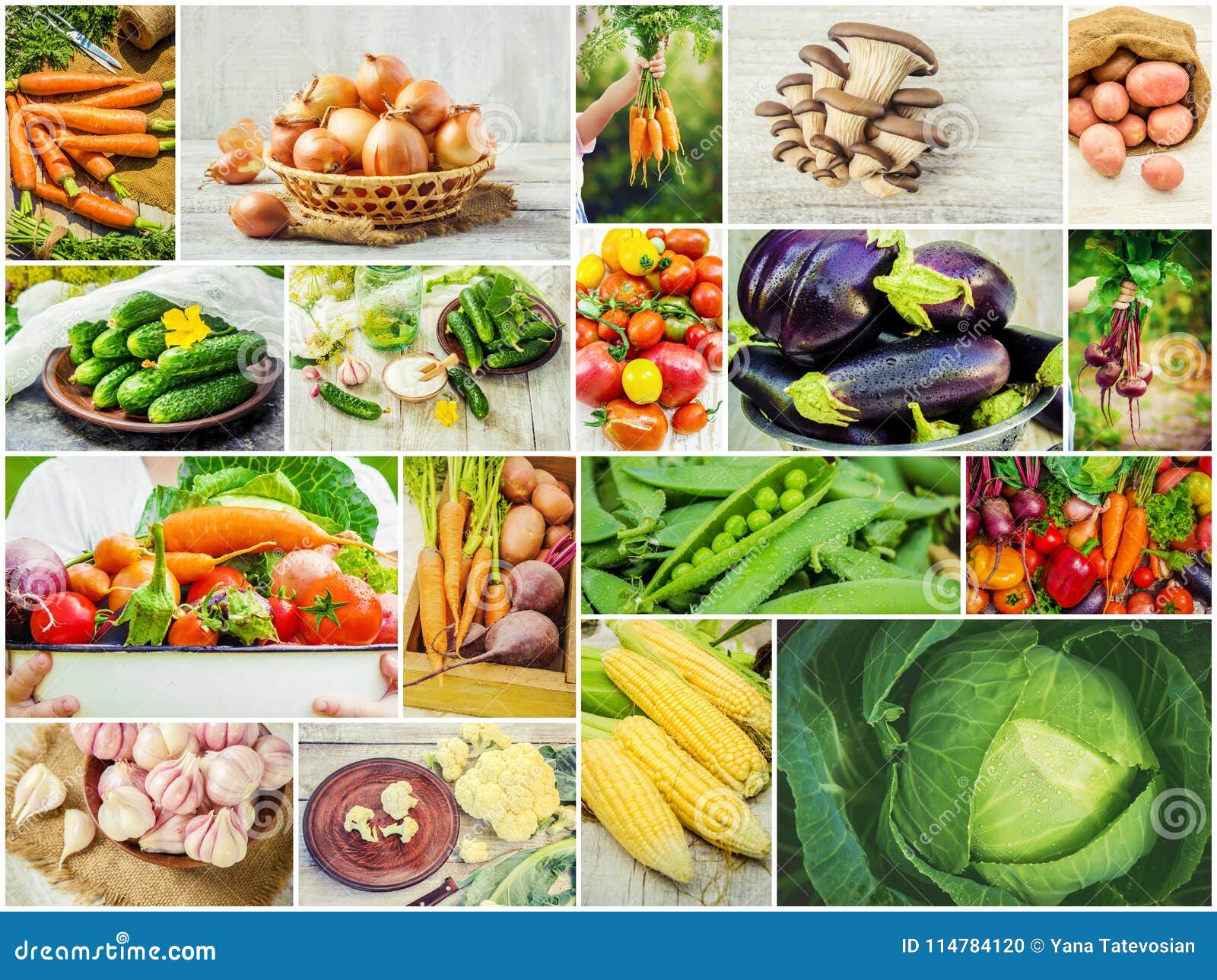 Collage of Different Vegetables. Stock Photo - Image of parsley ...